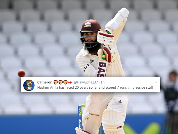 Twitter goes berserk as Hashim Amla produces a masterclass of defensive ...