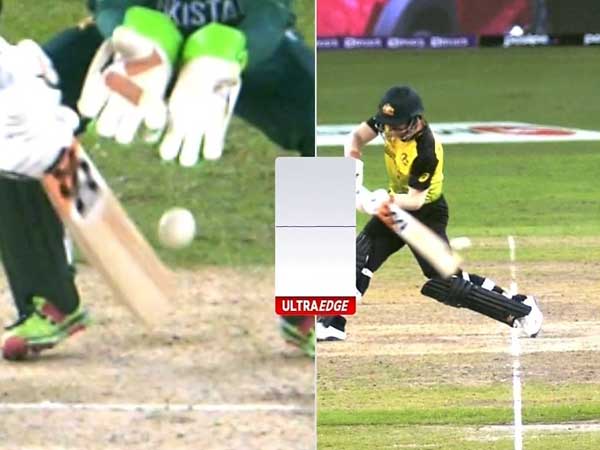David Warner Not Out against Pakistan | WATCH David Warner walks off ...