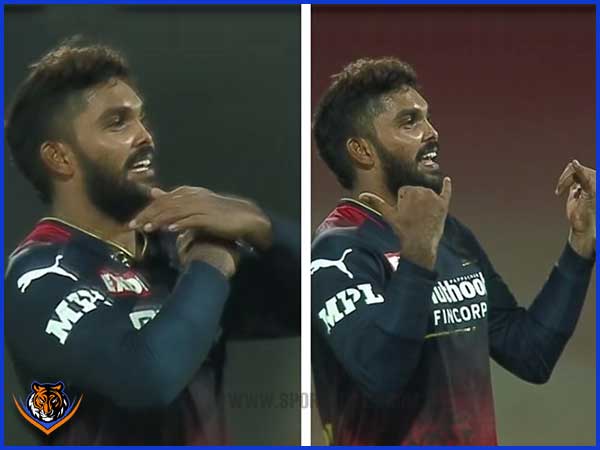 WATCH: Wanindu Hasaranga dismisses Sunil Narine and Sheldon Jackson on ...