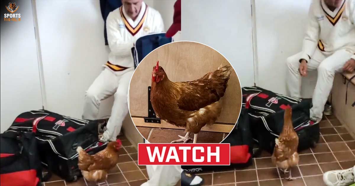 Old video of a chicken in player’s dressing room surfaces
