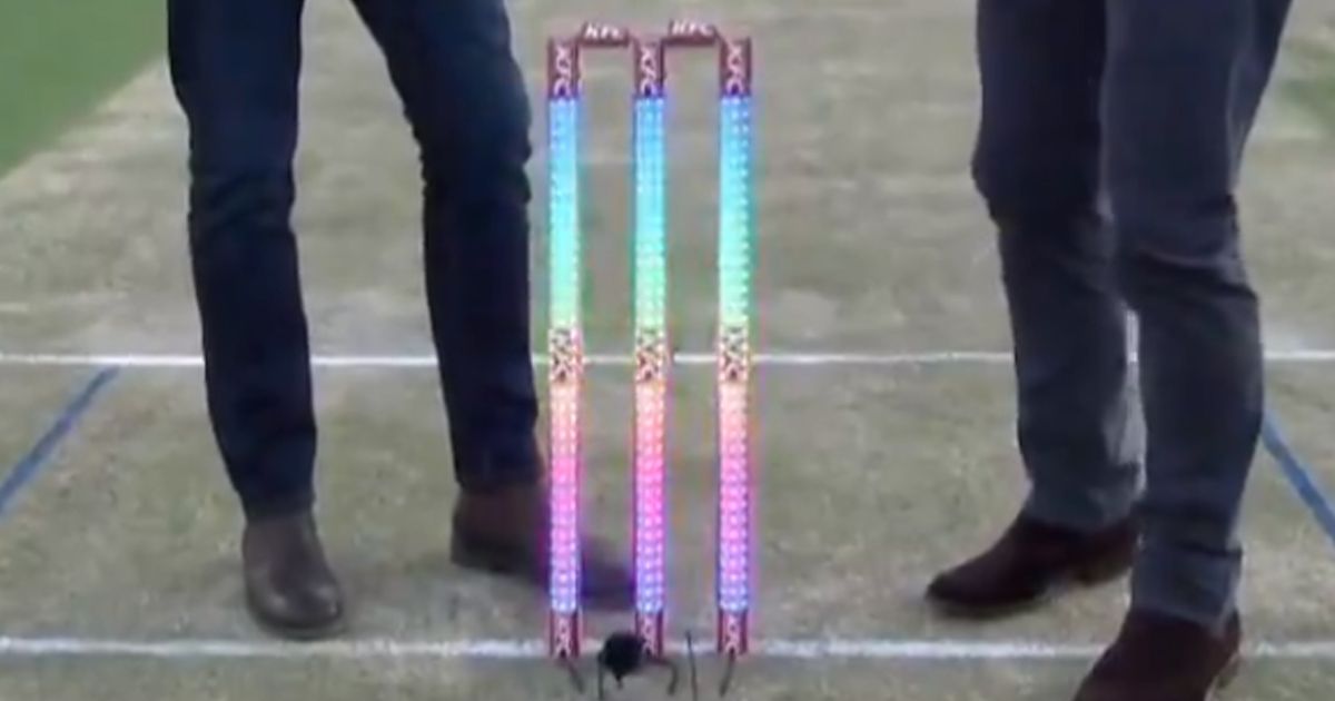 How Electra Stumps Work?