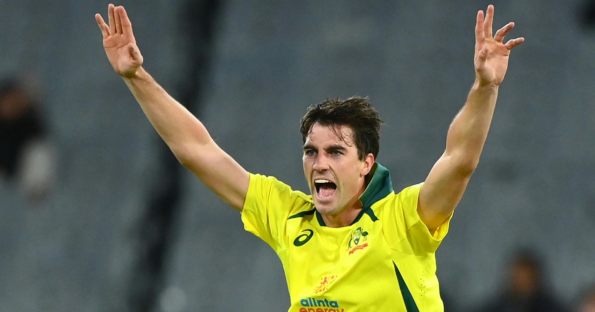 5 best bowlers of SRH in IPL 2024