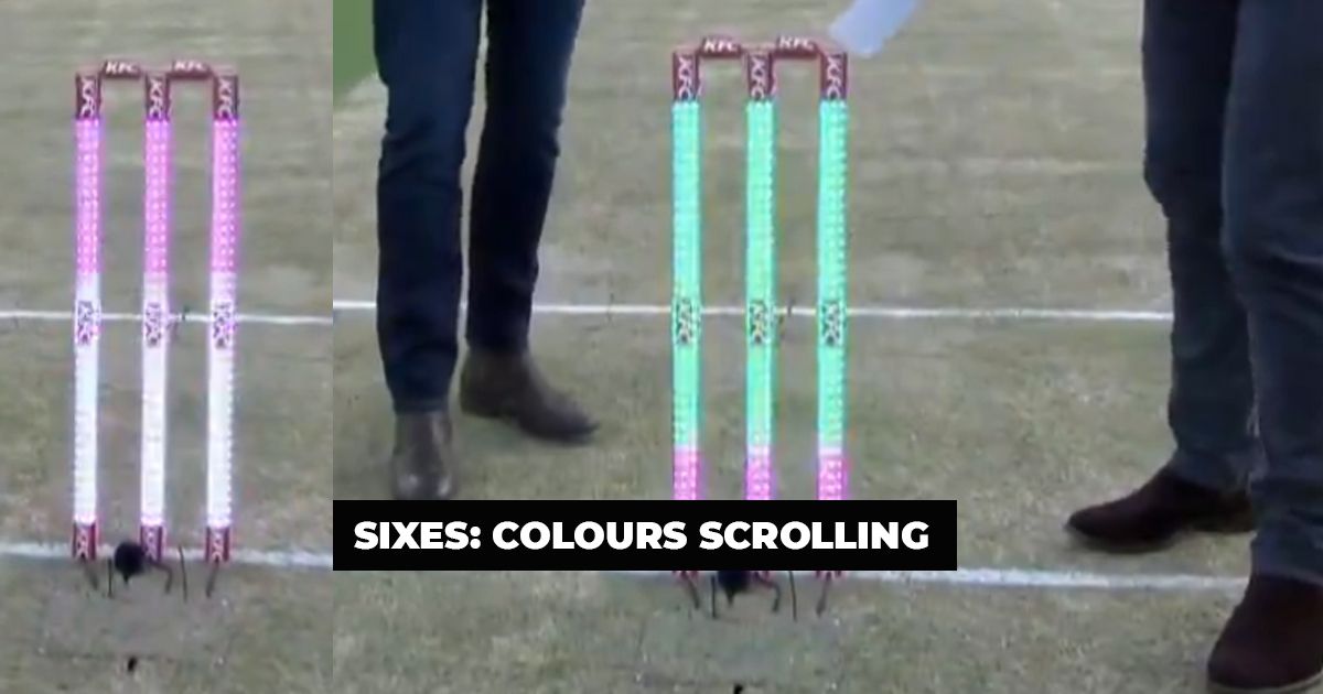 How Electra Stumps Work?